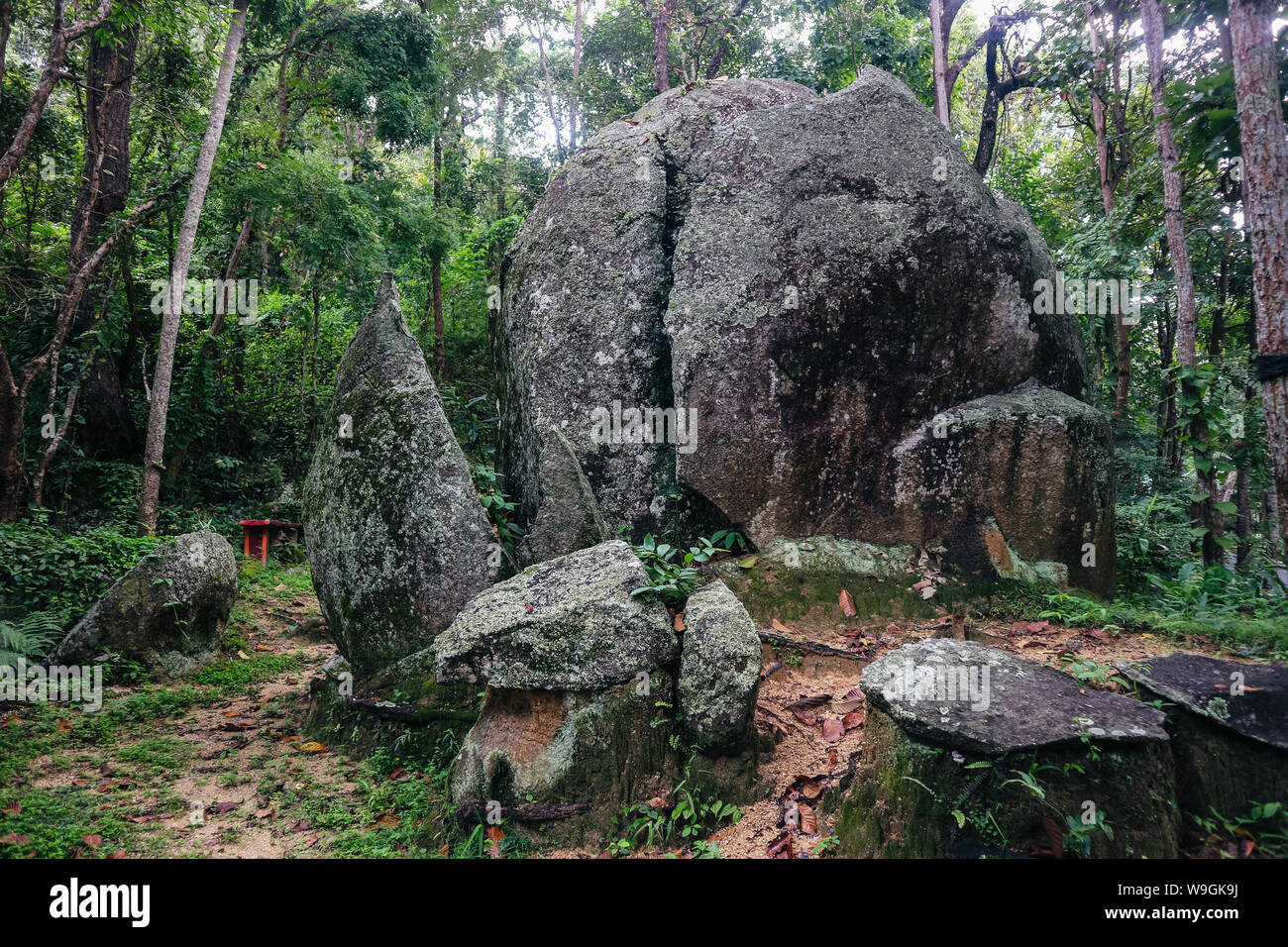 rock in rainforest Stock Photo - Alamy
