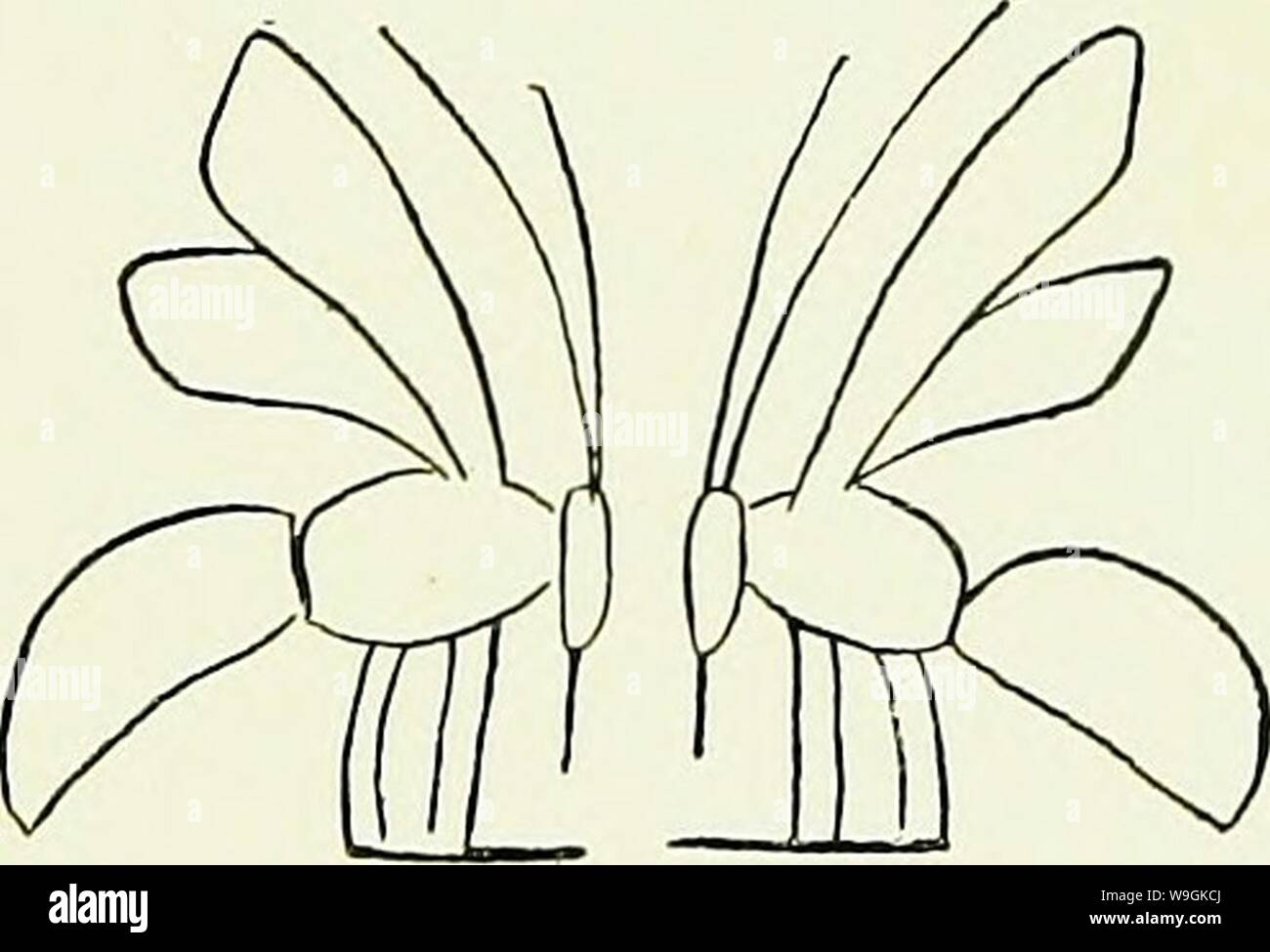 The honey makers hi-res stock photography and images - Alamy