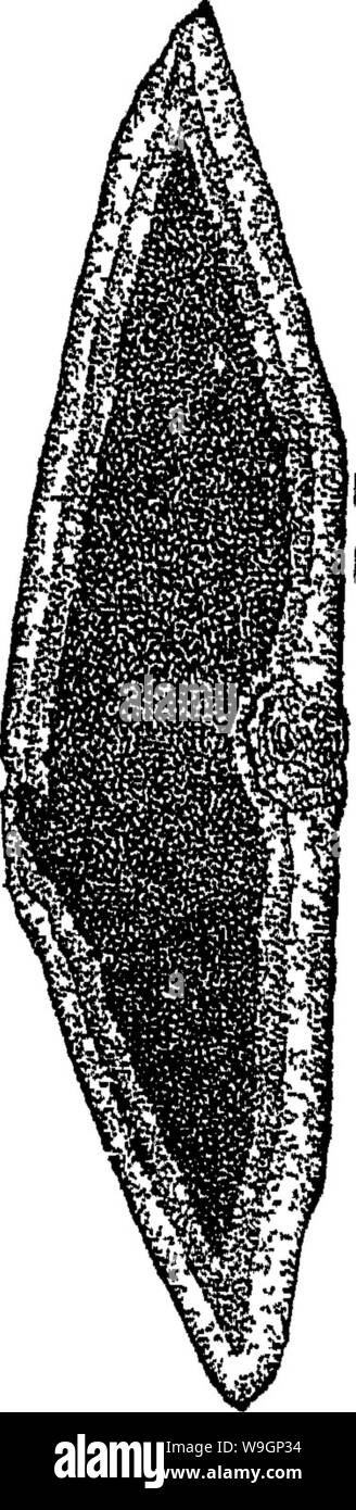 Weathering of rocks Black and White Stock Photos & Images - Alamy