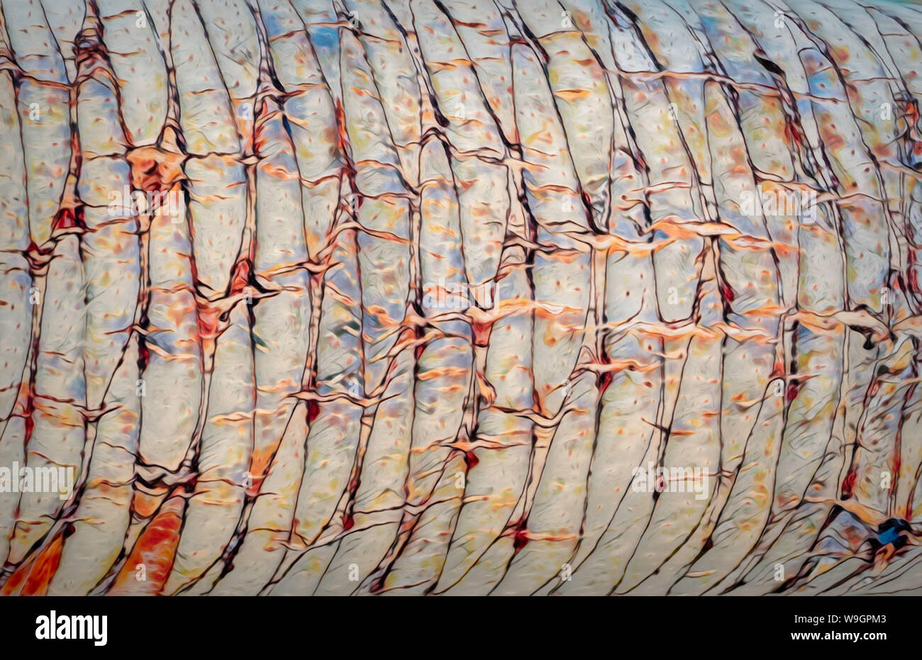 Rough tree branch texture hi-res stock photography and images - Alamy