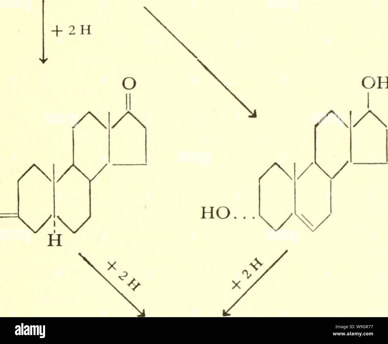 Androsterone Structure