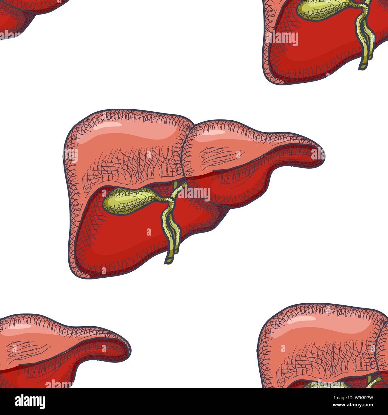 Sketch Ink Human liver, hand drawn seamless Pattern Background ...