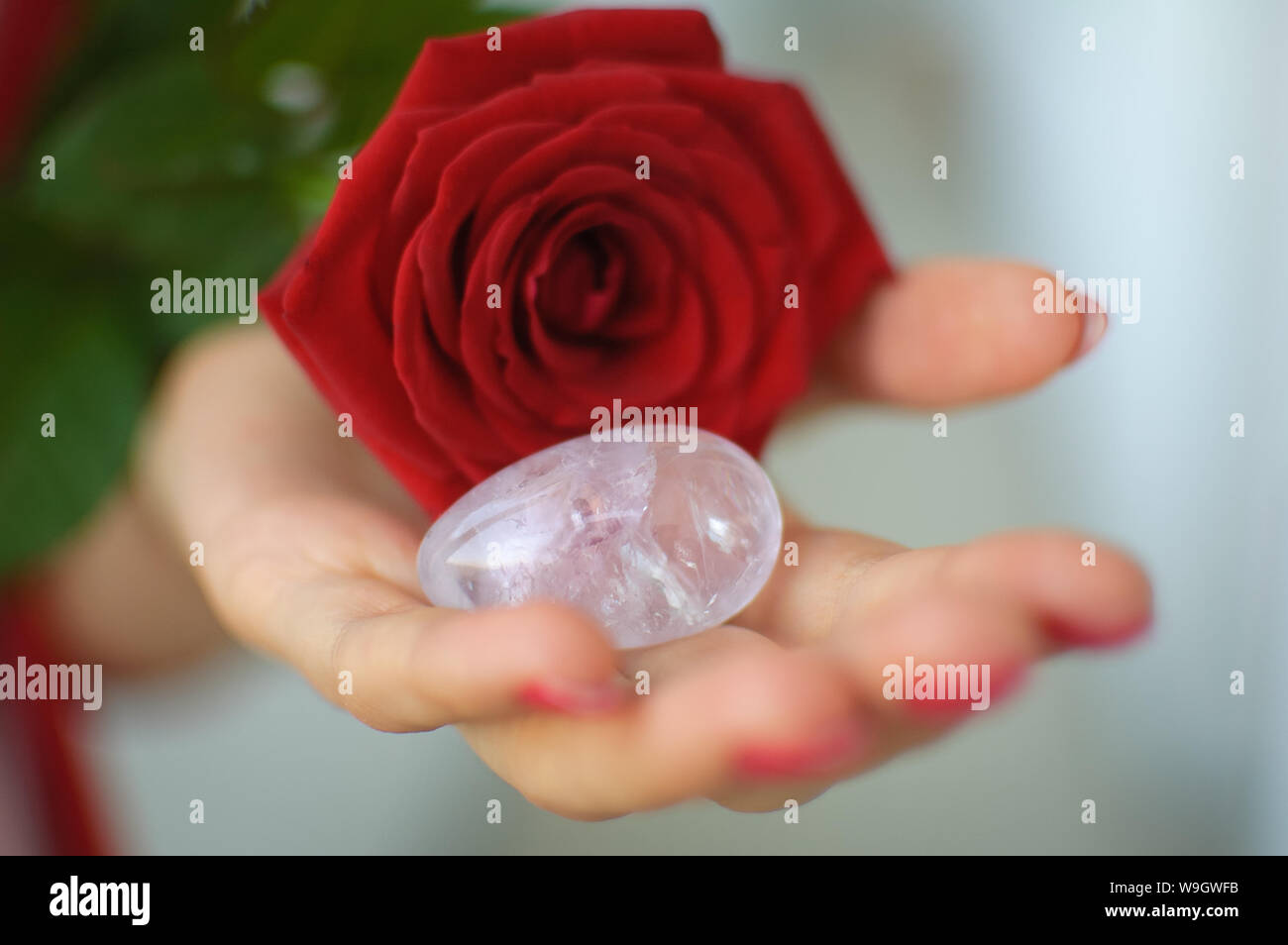 Female hands with manicure holding a yoni egg and red rose. The flower ...