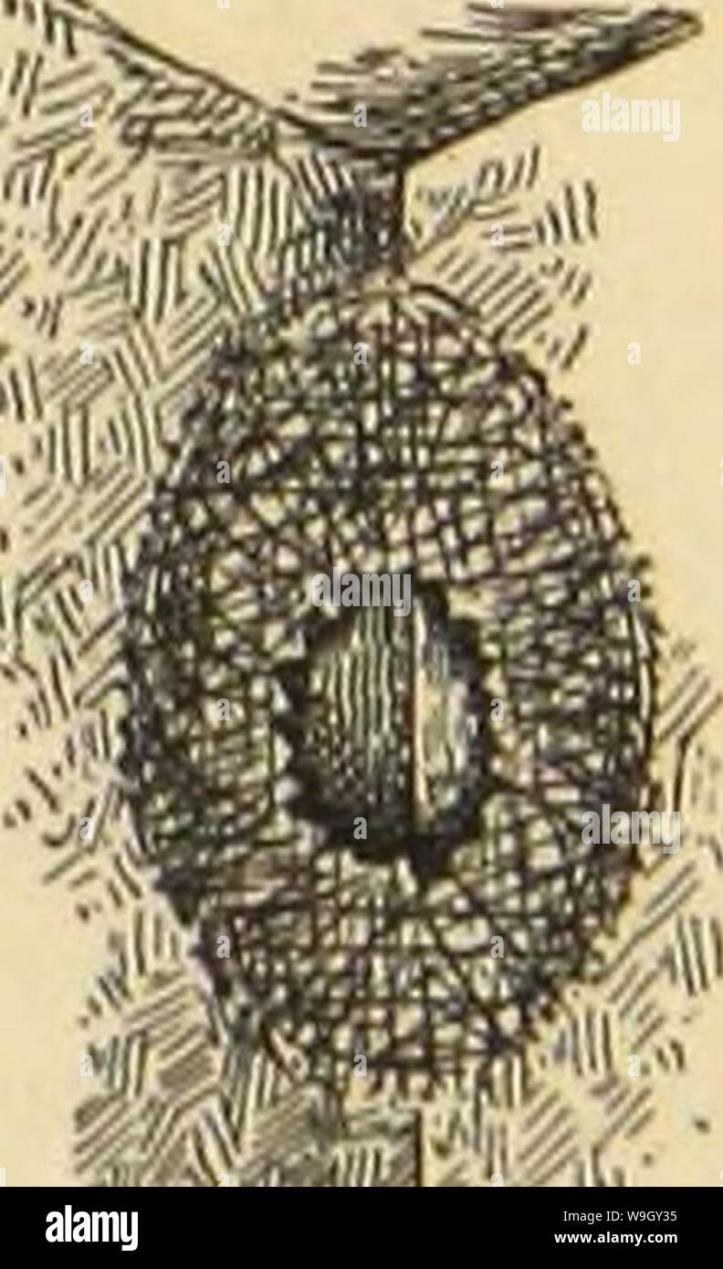 1911 scales hi-res stock photography and images - Alamy