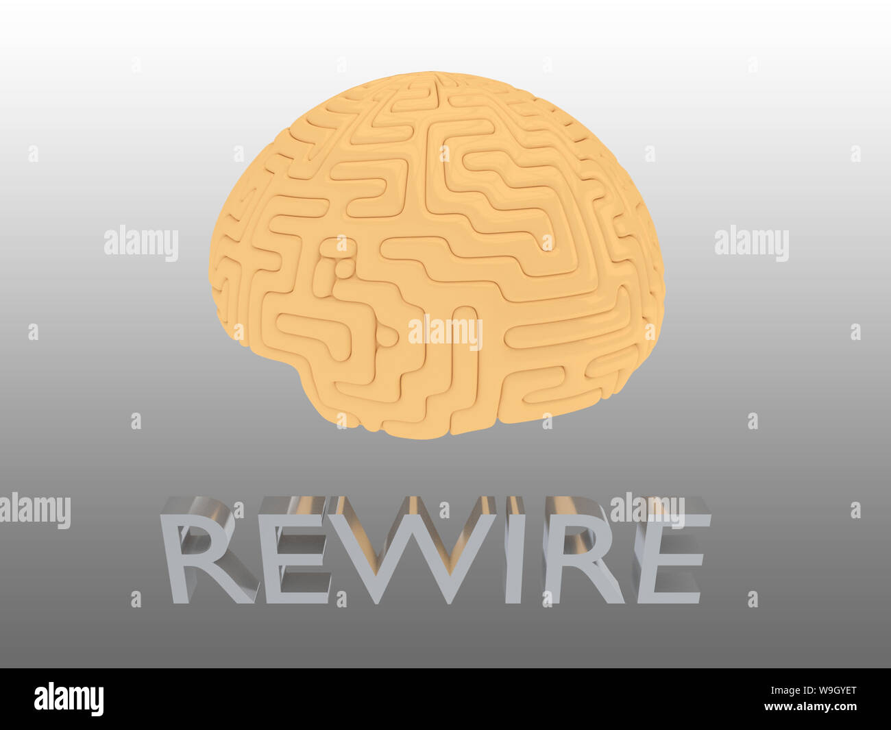 3D illustration of REWIRE script under a human brain Stock Photo - Alamy