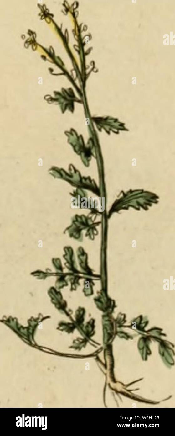 Ai complete image hi-res stock photography and images - Alamy