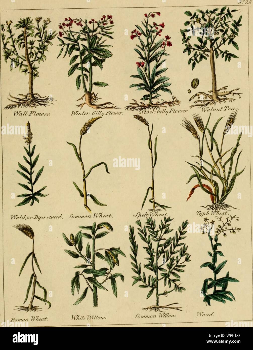 Culpepper's complete herbal hi-res stock photography and images - Alamy