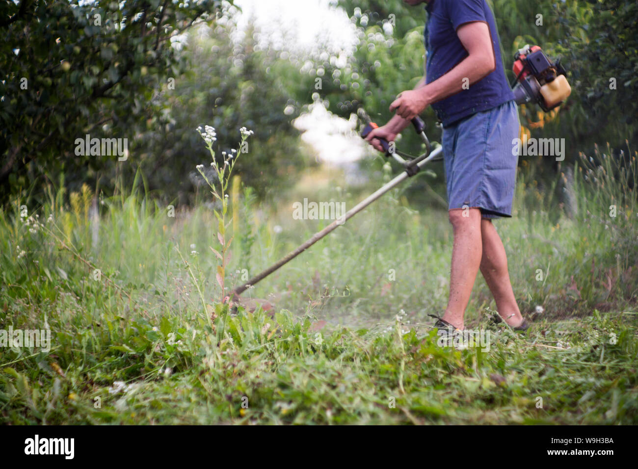 Worker mowing green grass with a trimming machine Stock Photo - Alamy