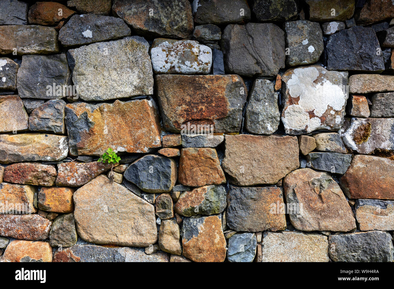 old stone wall, Scotland, United Kingdom Stock Photo - Alamy