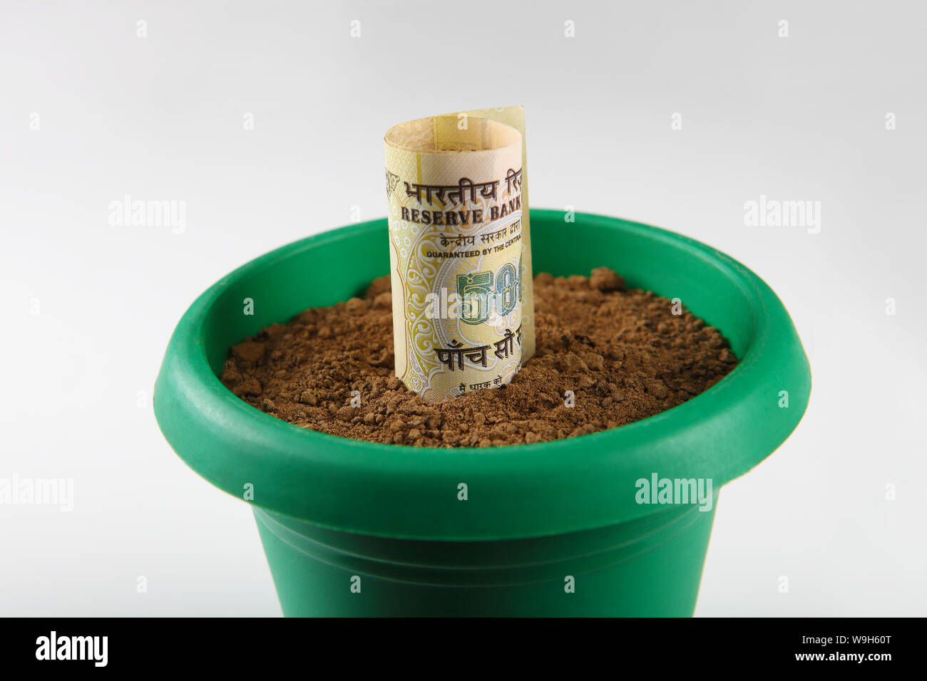 Money growing in a pot Stock Photo - Alamy