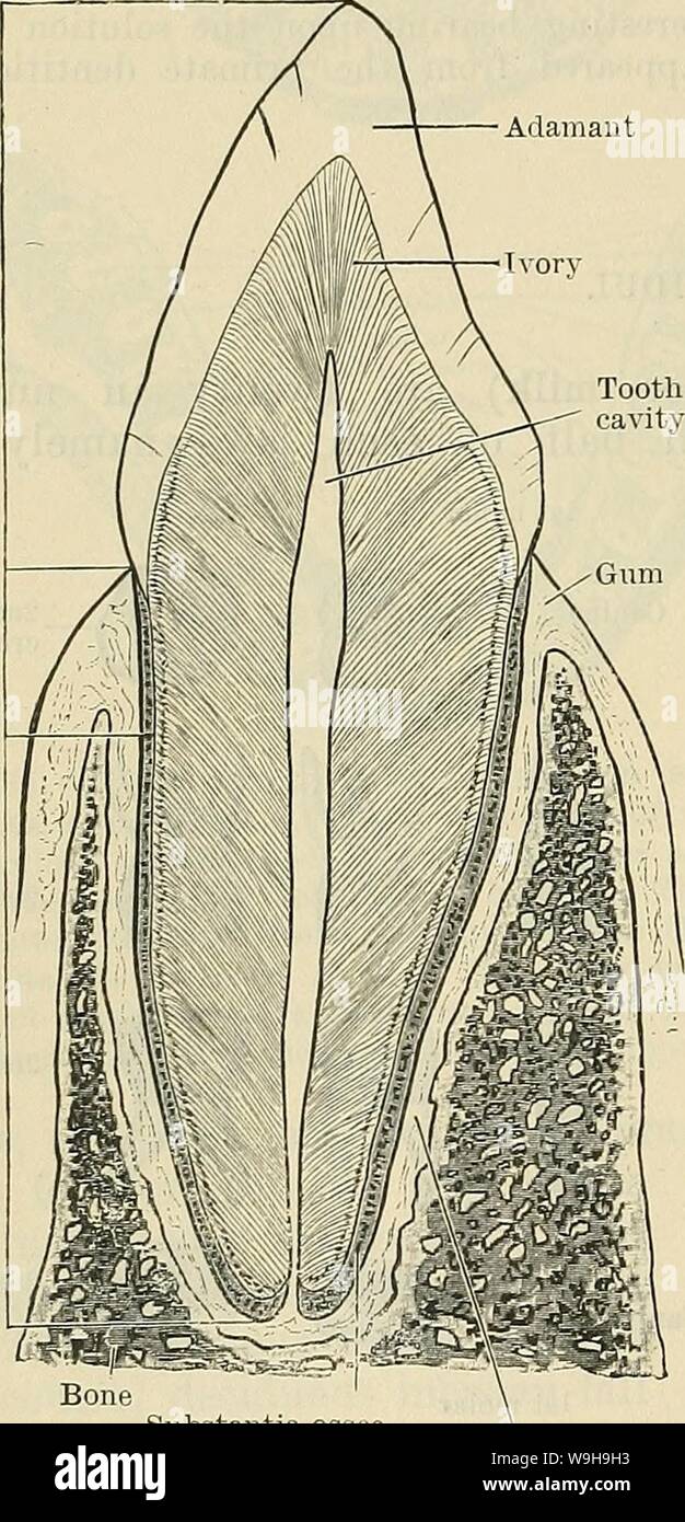 Adamant Cement High Resolution Stock Photography and Images - Alamy