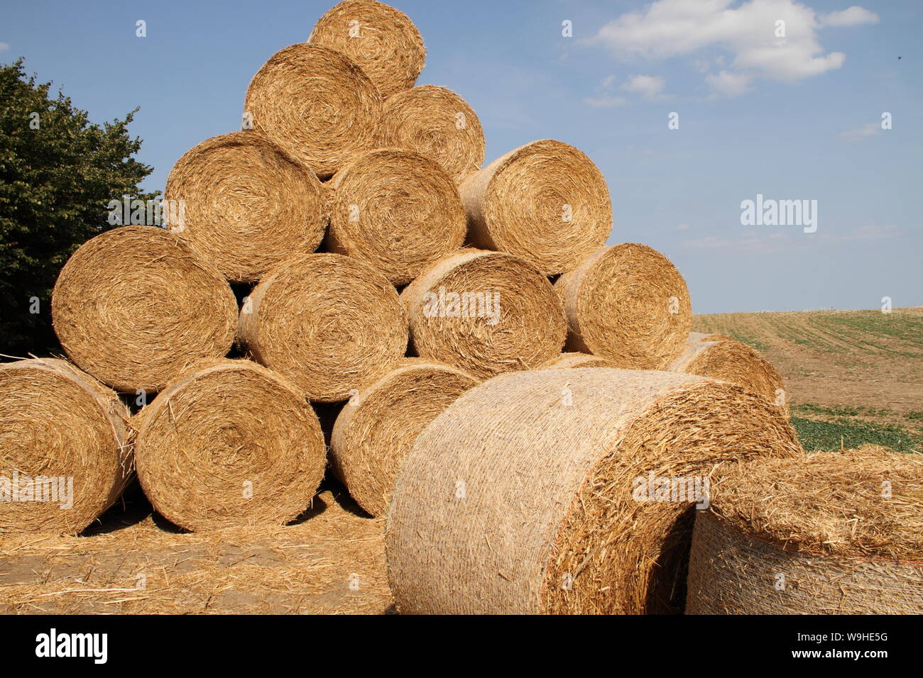 Hay bales on mowed meadow hi-res stock photography and images - Alamy