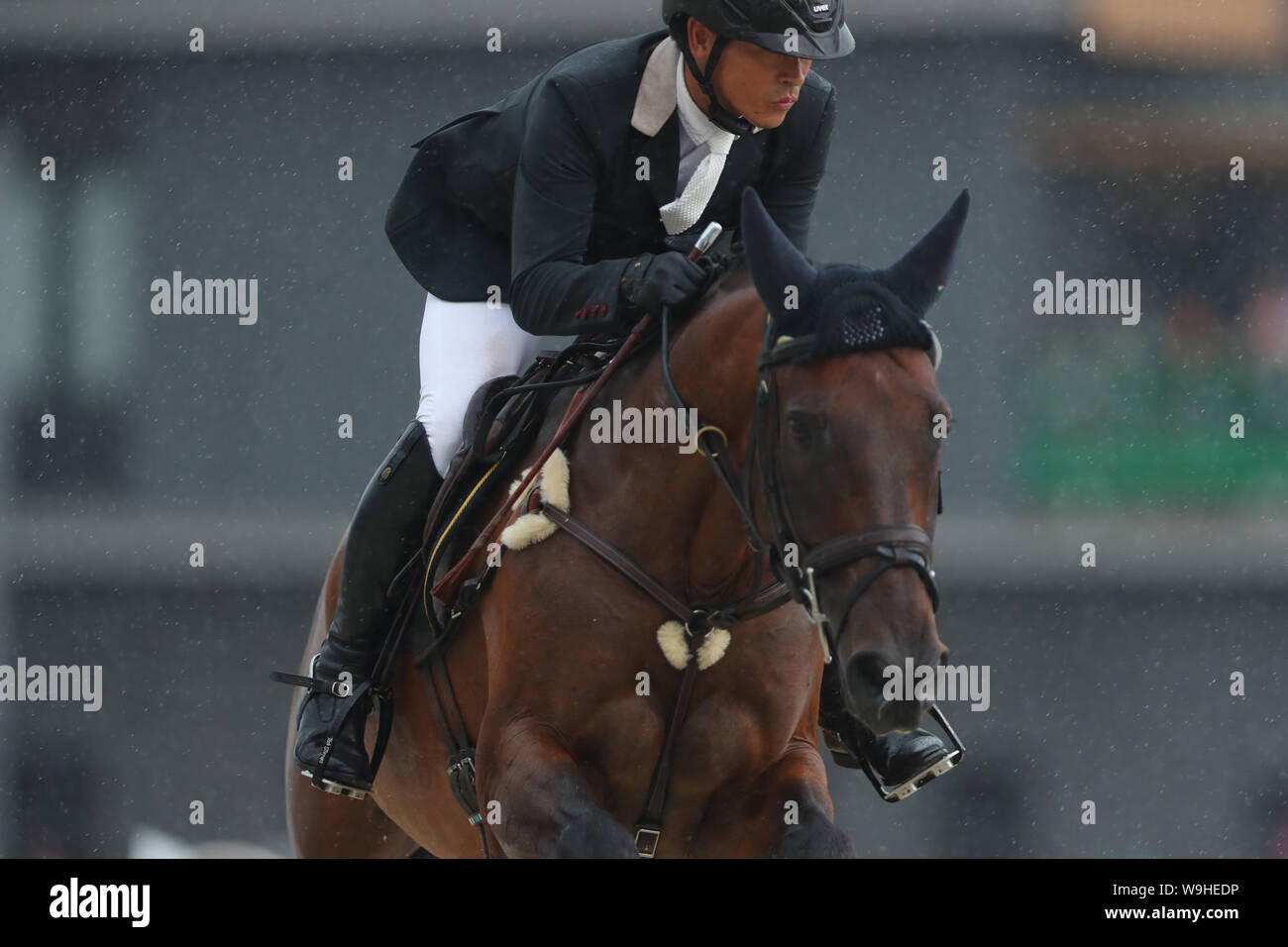 Tokyo, Japan. 14th Aug, 2019. Takayuki Yumira & Poacher's Hope (JPN ...