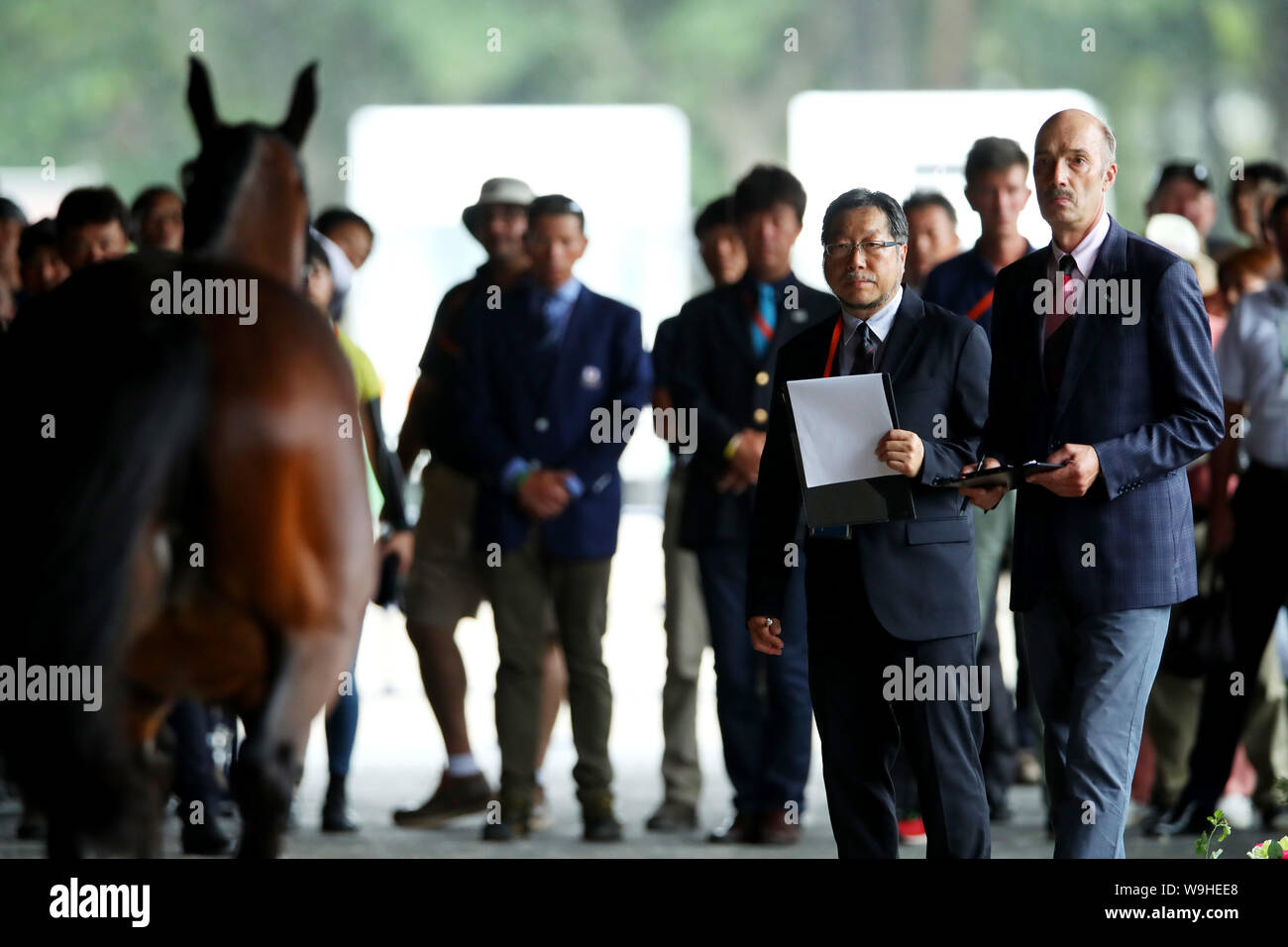 Tokyo, Japan. 14th Aug, 2019. General view Equestrian : READY STEADY ...