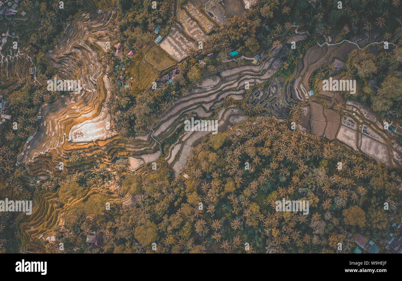 Tegallalang Rice Terraces from above, in Ubud, Bali, Indonesia Stock ...