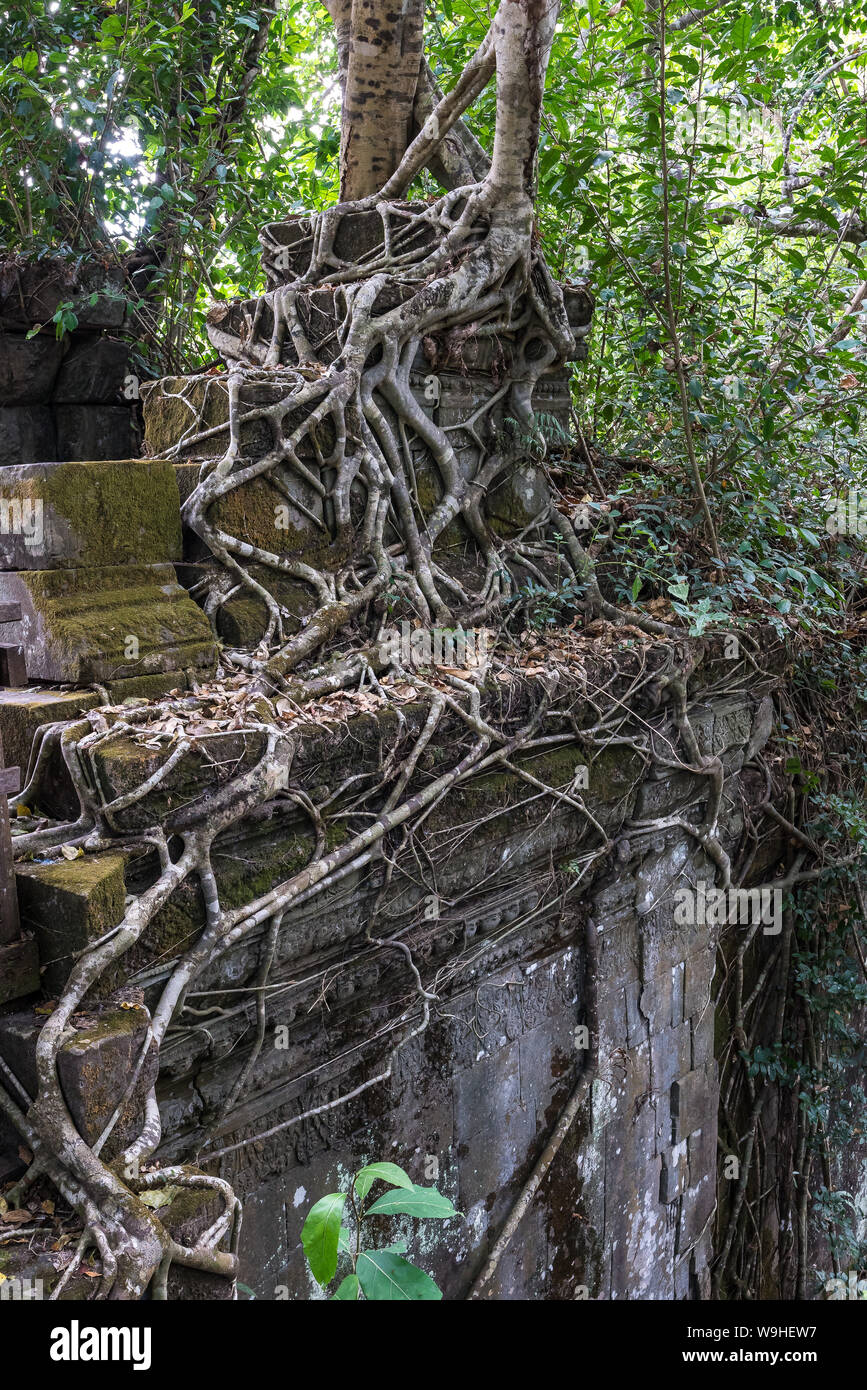 Ruins of ancient Beng Mealea Temple over jungle, Cambodia. Beng Mealea ...