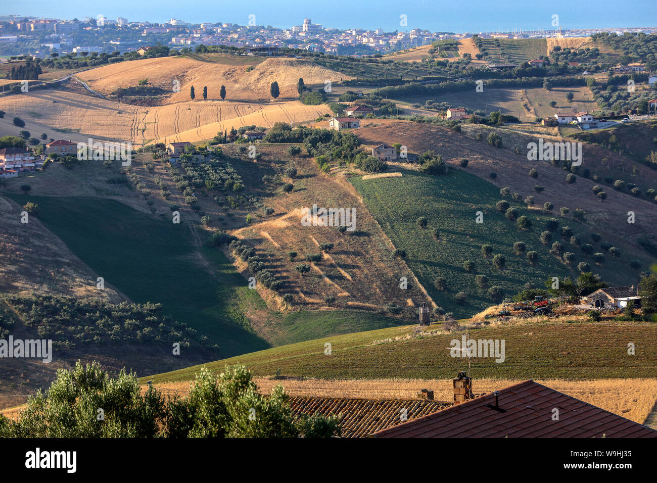 Panoramic view of olive groves and farms on rolling hills of Abruzzo ...