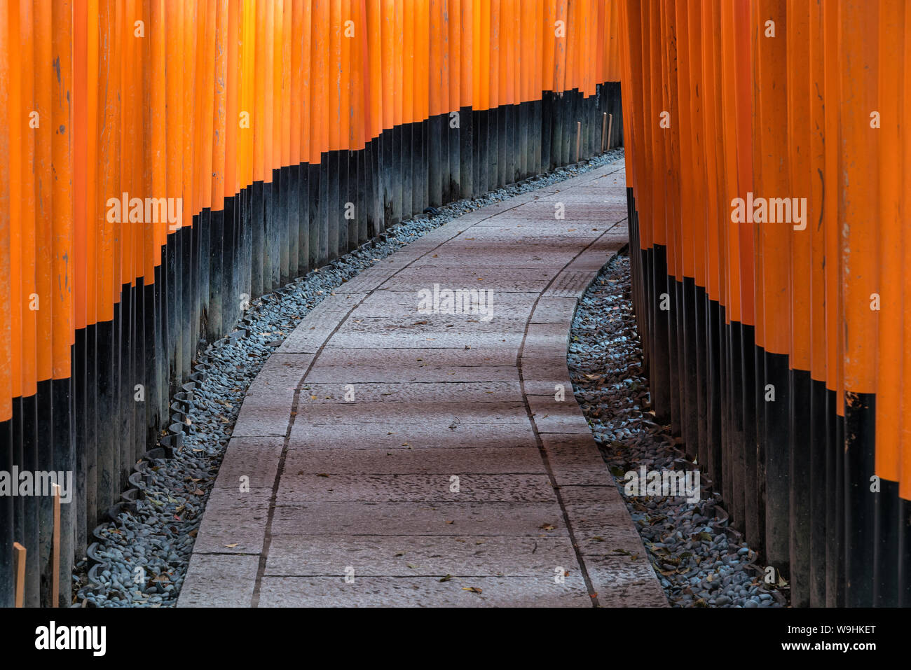 The red torii gates walkway path at fushimi inari taisha shrine the one ...