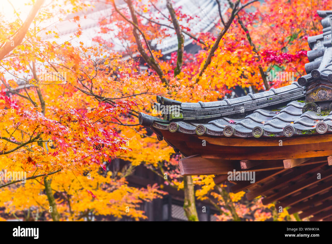 Vintage japanese maple leaf hi-res stock photography and images - Alamy