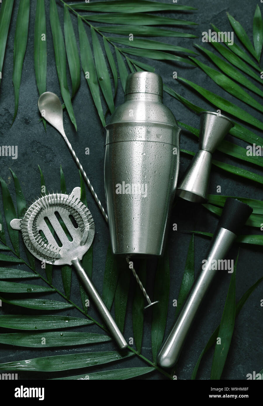cocktail shaker on the background of fruits and tropical leaves Stock ...