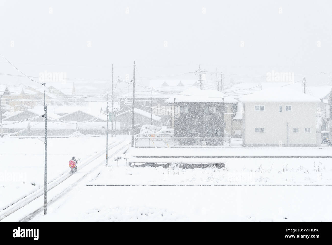 Fresh white snow falling in winter season at Kawaguchiko,Japan Stock ...