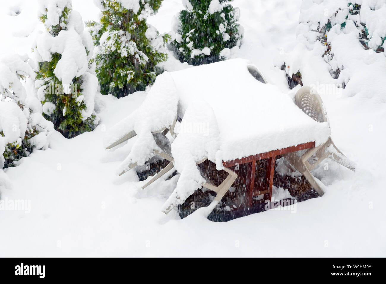 Fresh white snow falling in winter season at Kawaguchiko,Japan Stock ...