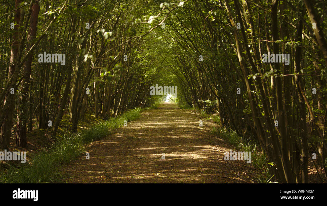 Broxbourne Nature Reserve High Resolution Stock Photography and Images ...