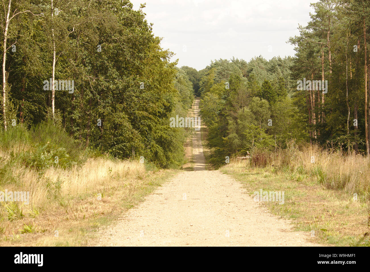 Broxbourne nature reserve hi-res stock photography and images - Alamy