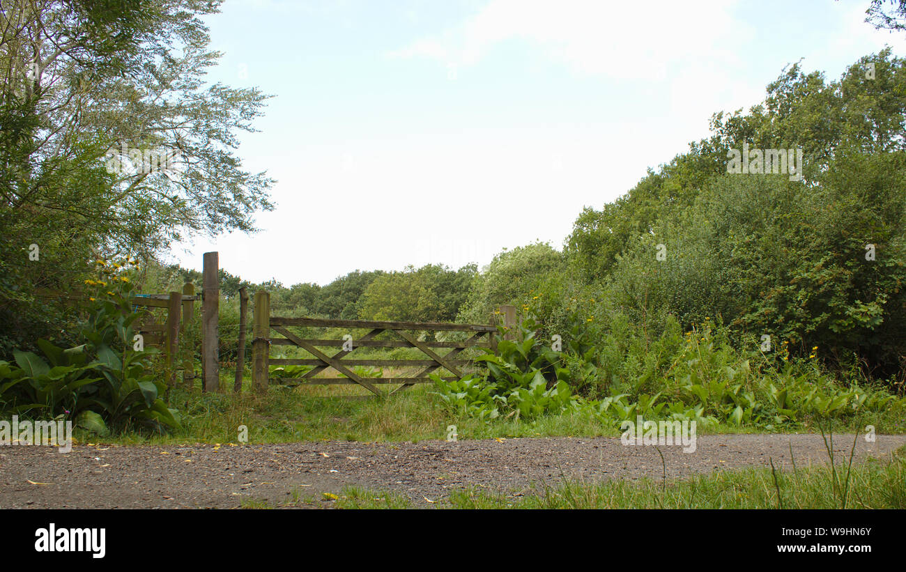 Gate to golden wheat field hi-res stock photography and images - Alamy