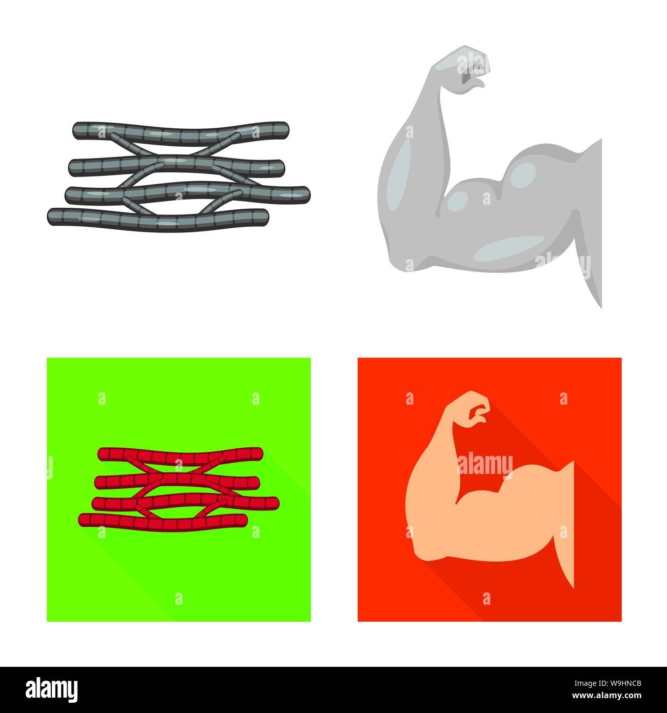 Vector illustration of fiber and muscular icon. Set of fiber and body ...