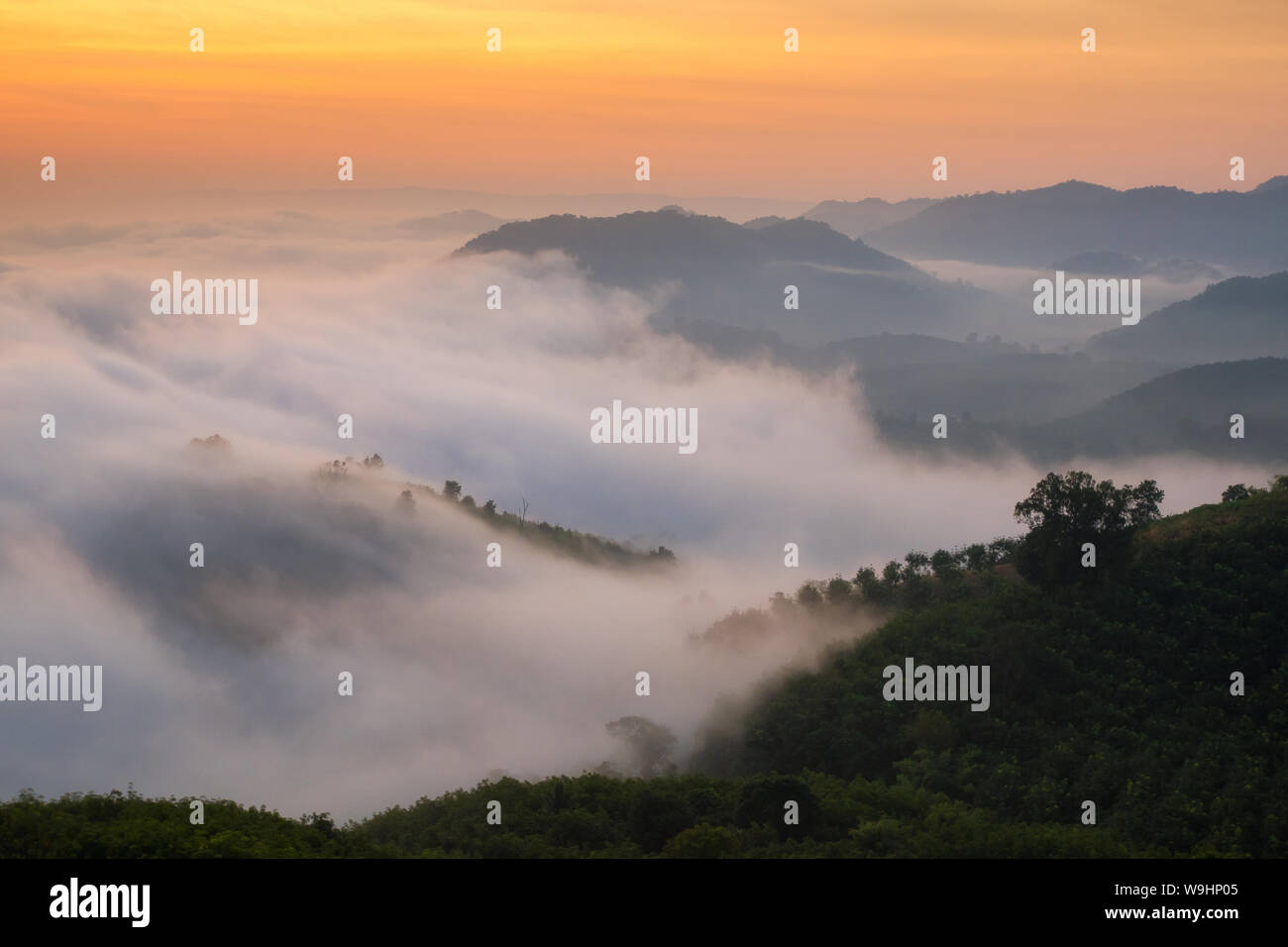 Amazing nature mist moving over the nature mountains during sunrise in ...