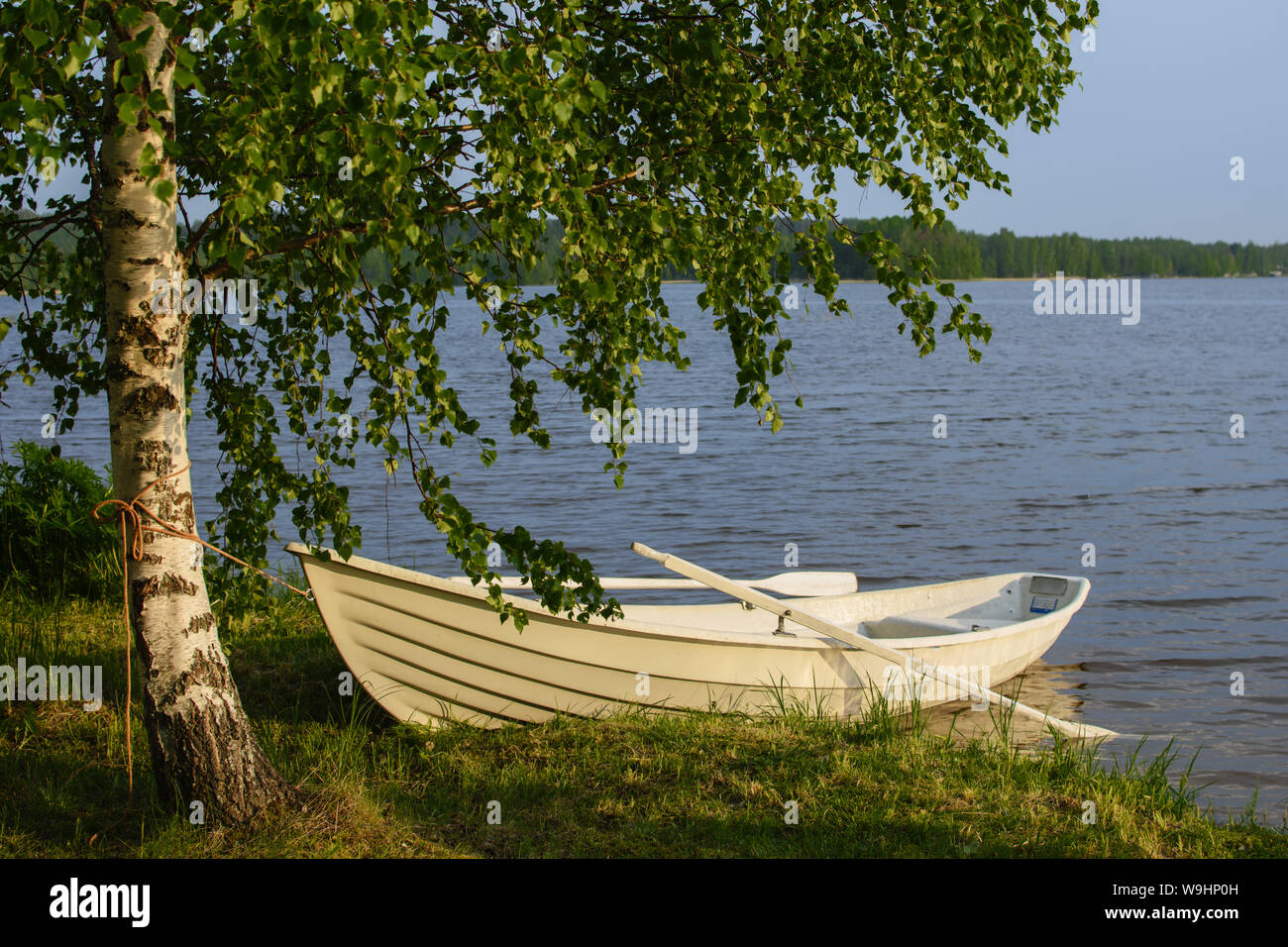 Boat tied to a tree hi-res stock photography and images - Alamy