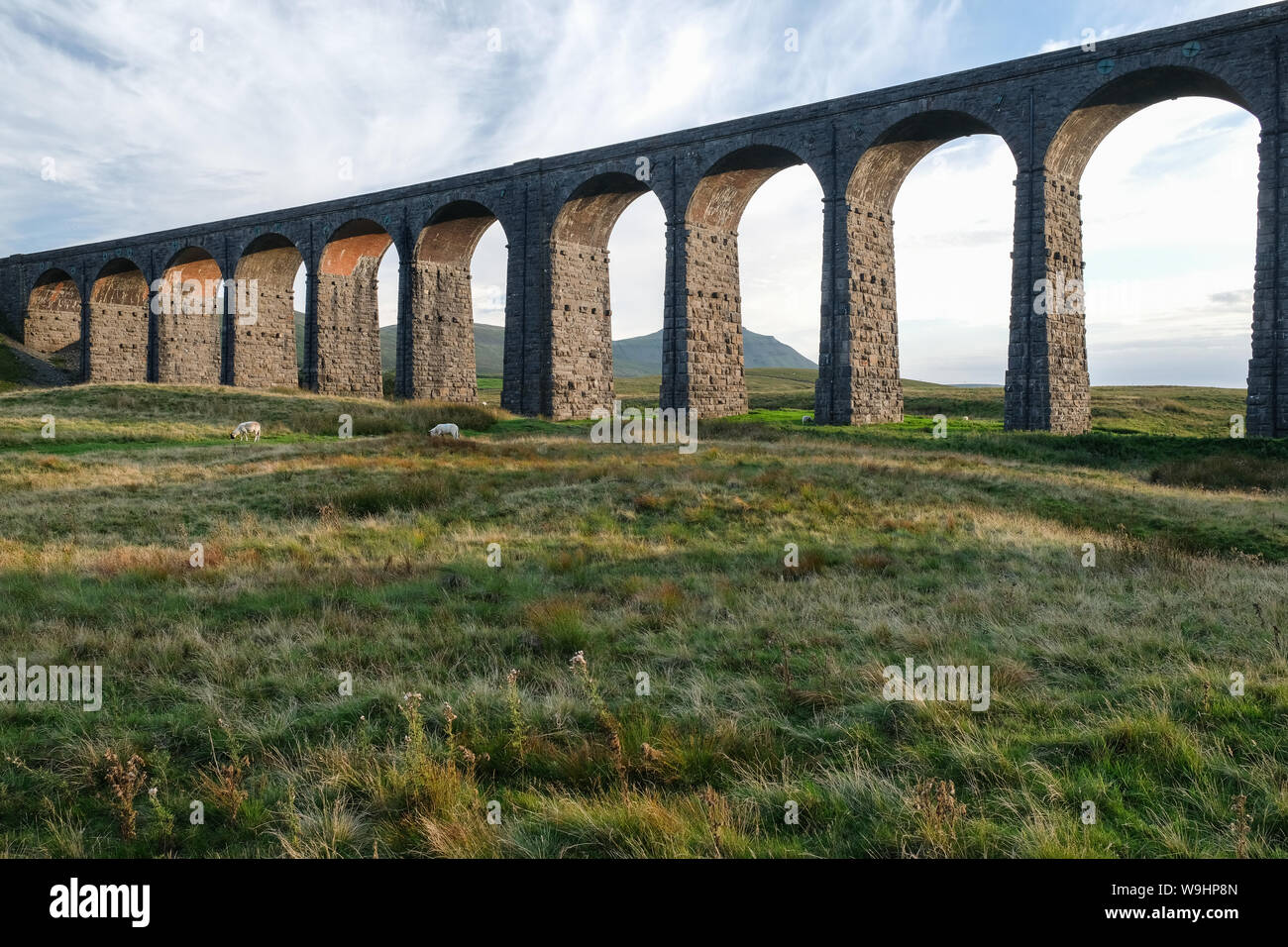 Ribblehead yorkshire dales england hi-res stock photography and images ...