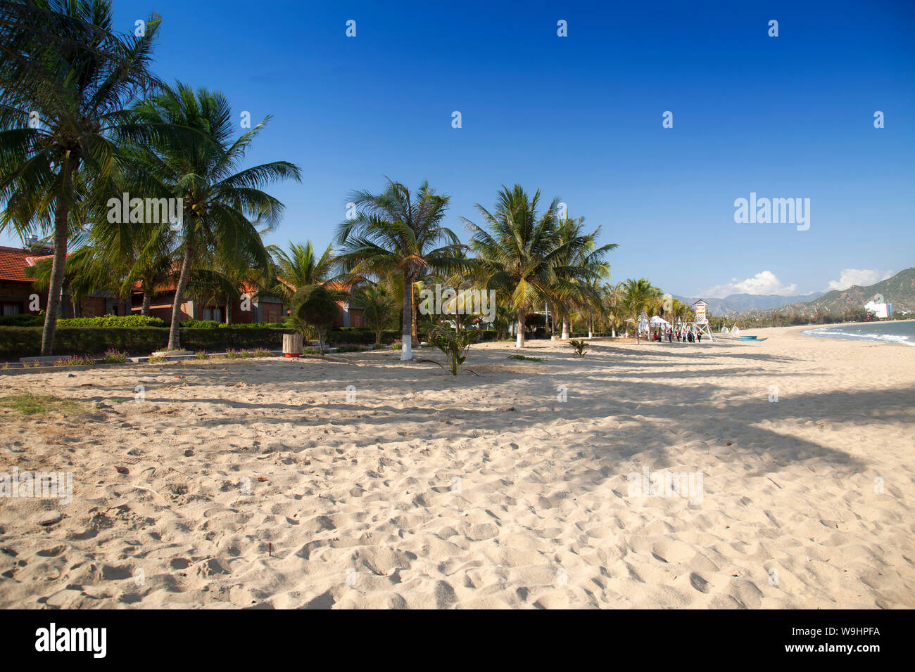 Beach with palms at TTC Resort, South China Sea, Ninh Thuan,Vietnam ...