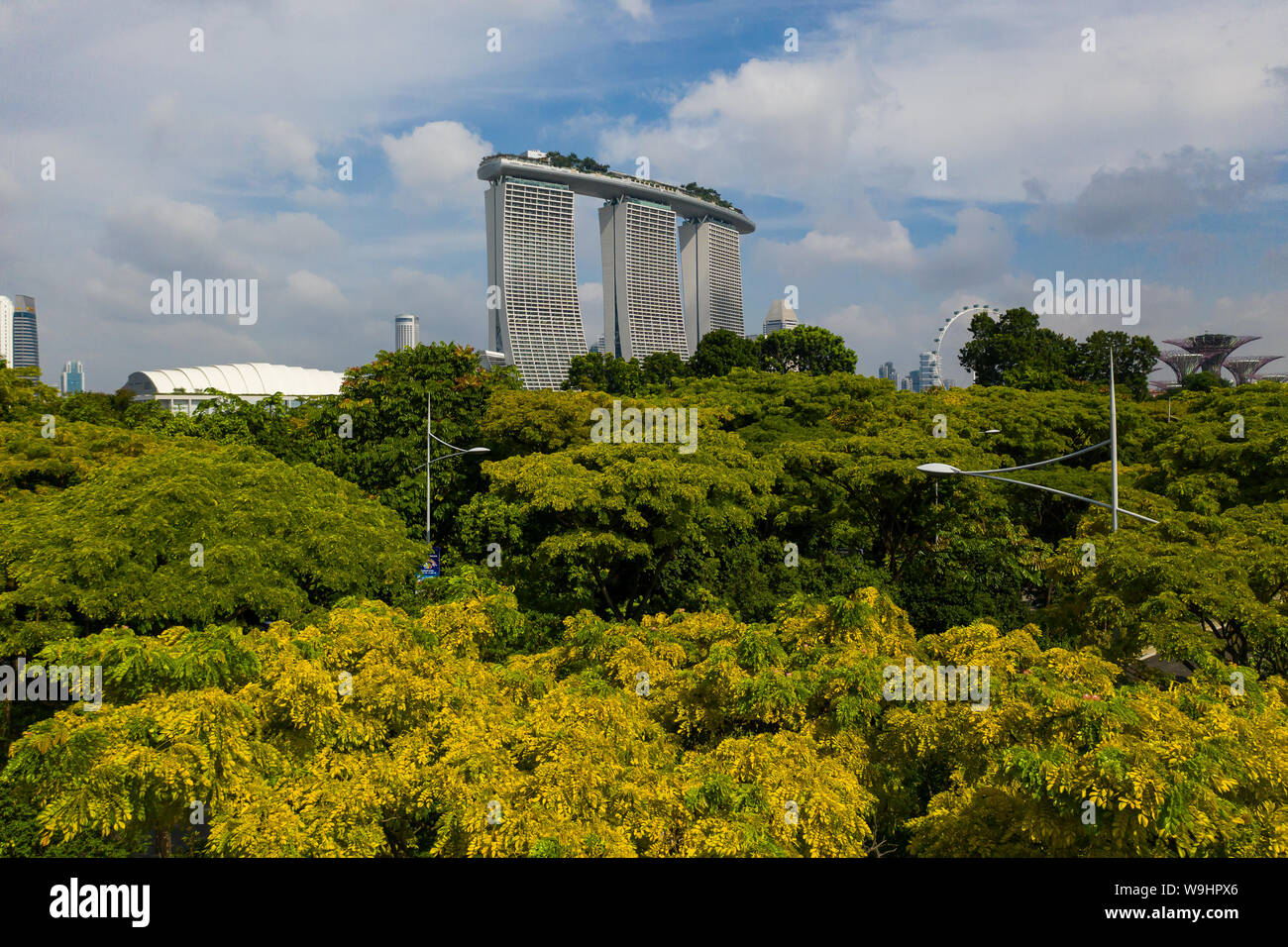 Lush green view in the foreground and Marina Bay Sands in the ...