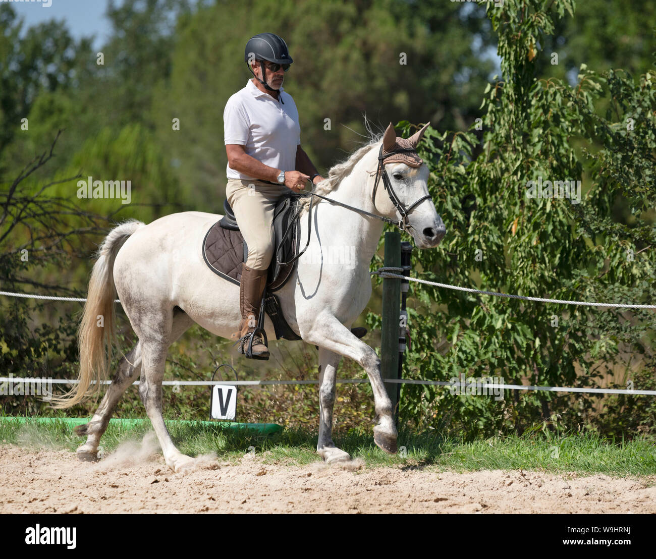 riding man, are training her young horse Stock Photo - Alamy