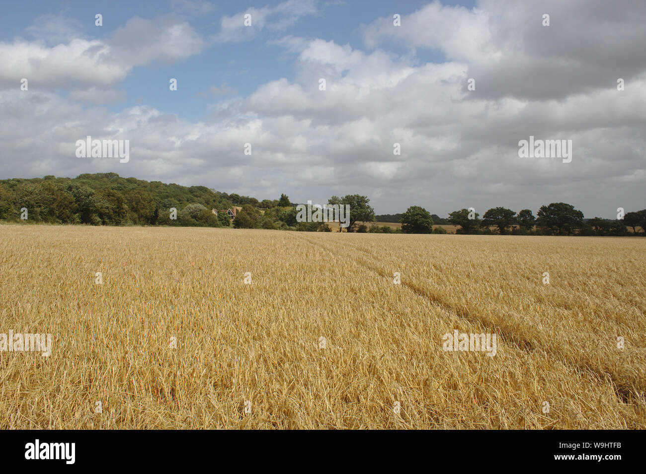 Laindon hi-res stock photography and images - Alamy