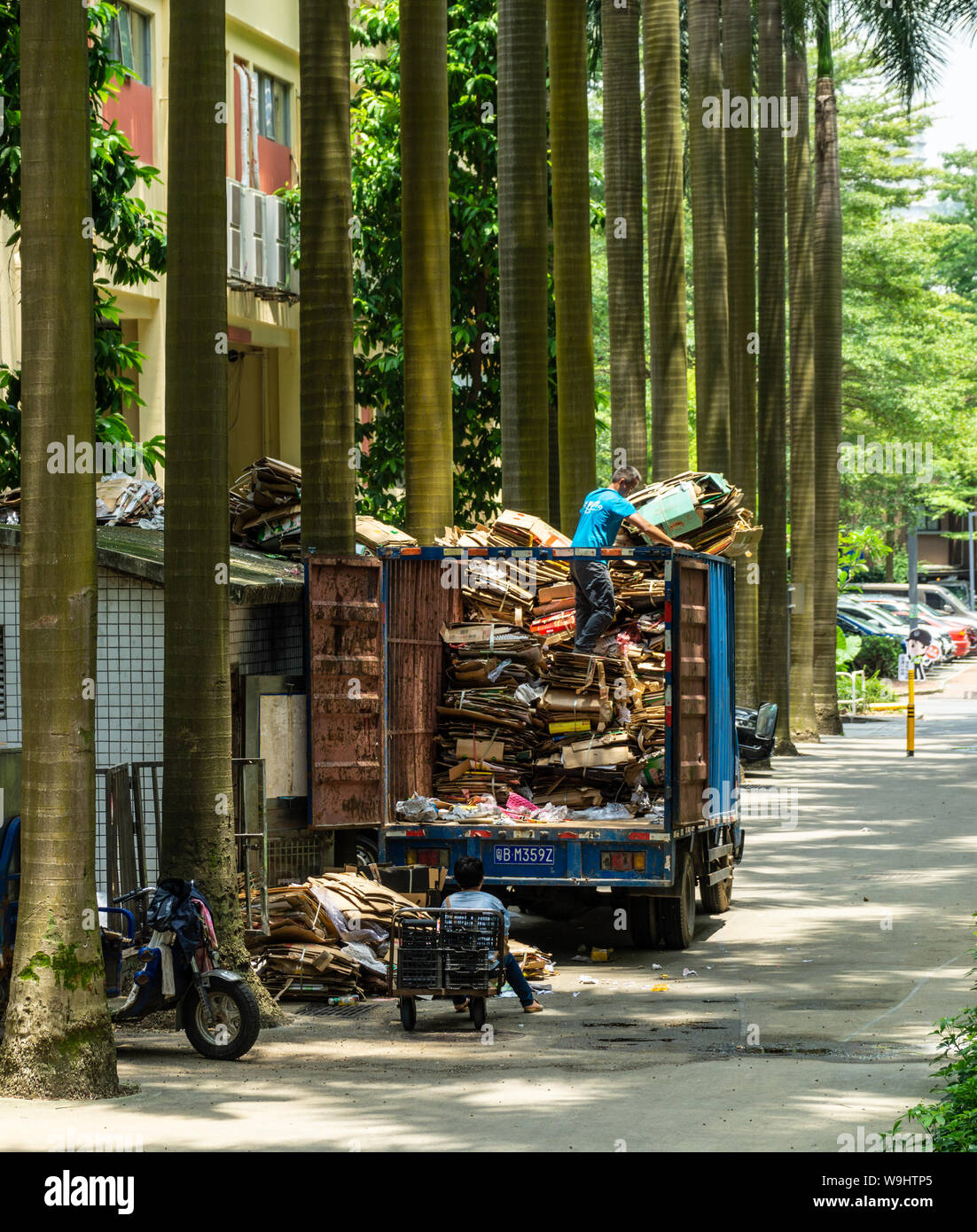 Cardboard collection and recycling, flattened cardboard boxes stacked ...
