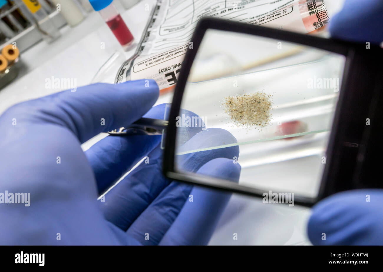 Police expert examines sand from the scene of a crime in support for ...