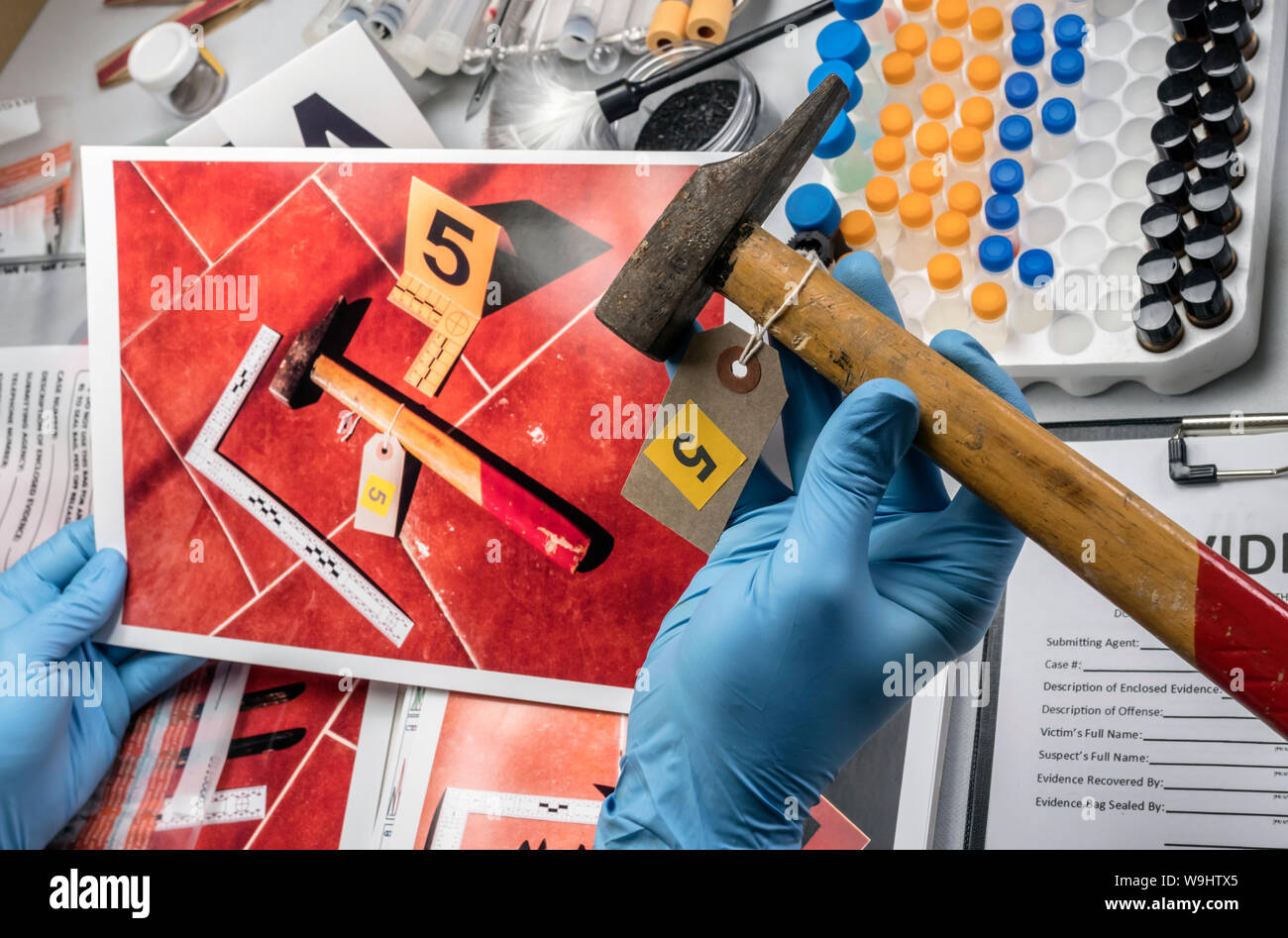 Police scientist analyses hammer from crime scene at laboratory ...