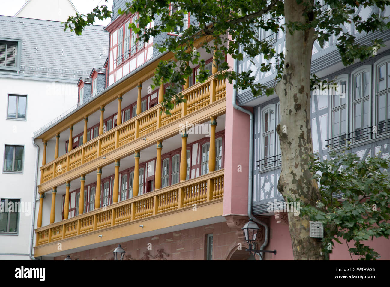 Rebstock hi-res stock photography and images - Alamy