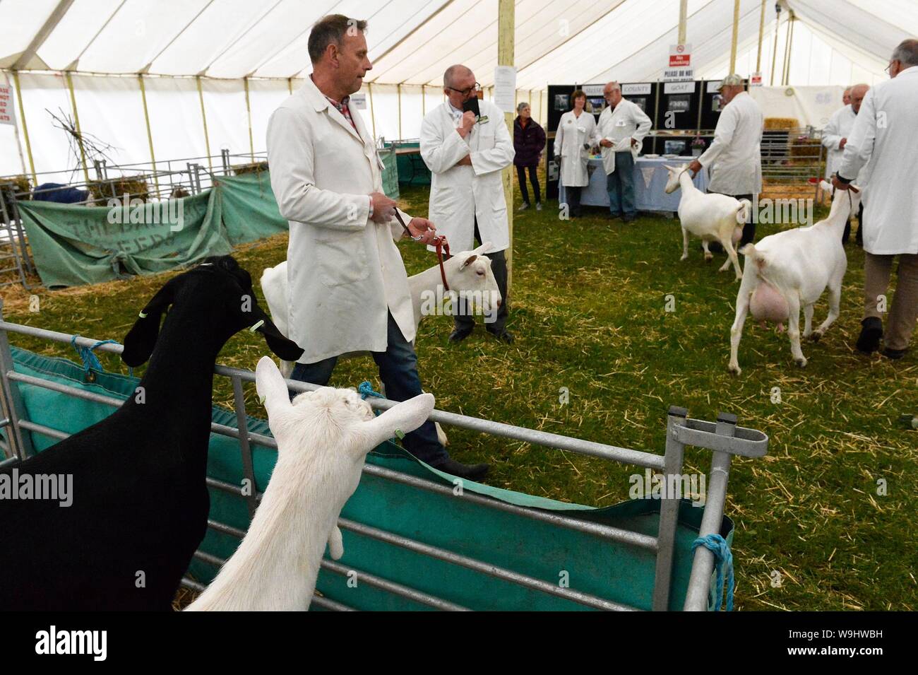 South of England Show 2019 Day 2 Crowds braved the rain at the ...
