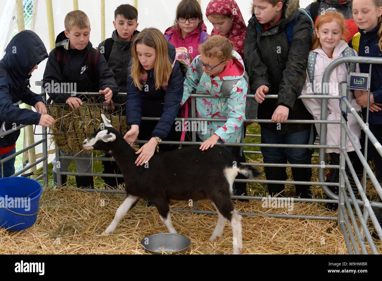 South of England Show 2019 Day 2 Crowds braved the rain at the ...