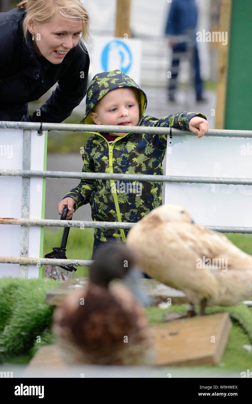 South of England Show 2019 Day 2 Crowds braved the rain at the ...