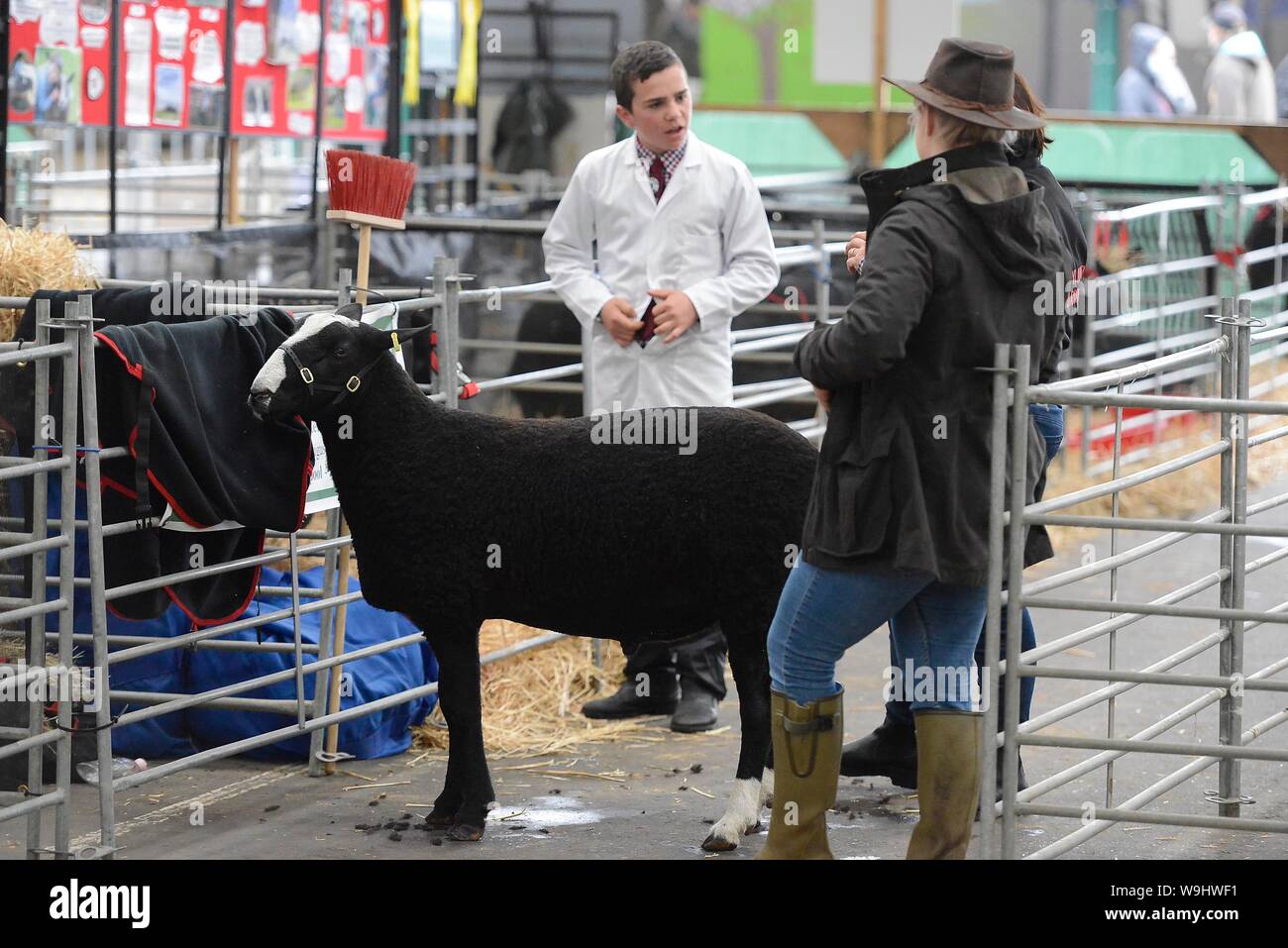 South of England Show 2019 Day 2 Crowds braved the rain at the ...