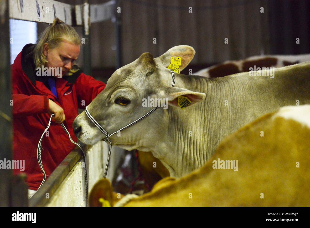 South of England Show 2019 Day 2 Crowds braved the rain at the ...