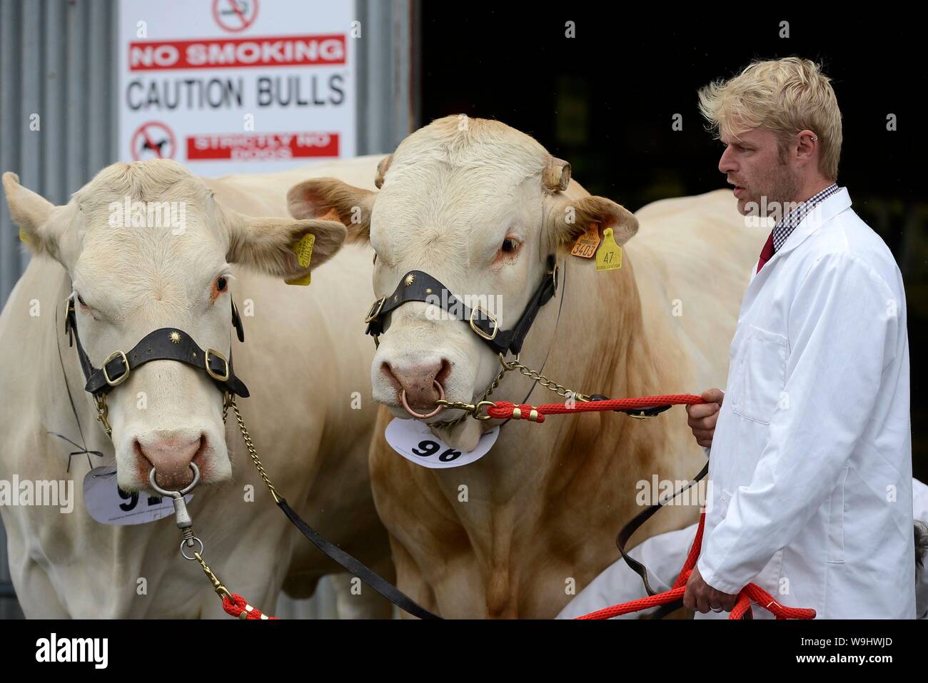 South of England Show 2019 Day 2 Crowds braved the rain at the ...