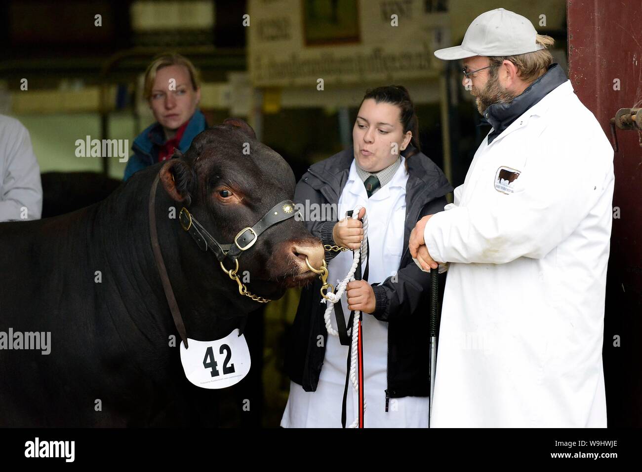 South of England Show 2019 Day 2 Crowds braved the rain at the ...