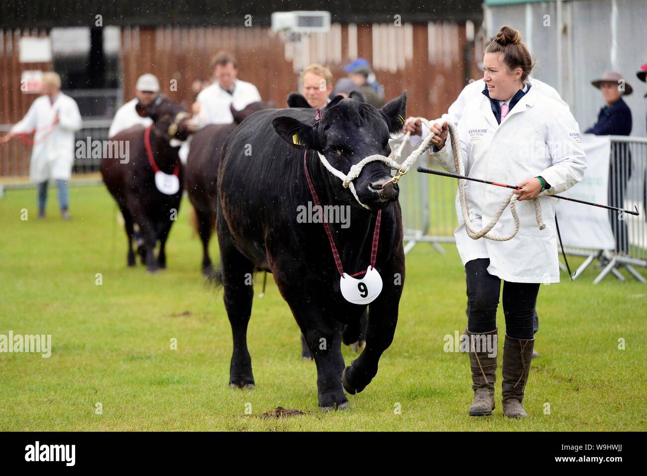 South of England Show 2019 Day 2 Crowds braved the rain at the ...