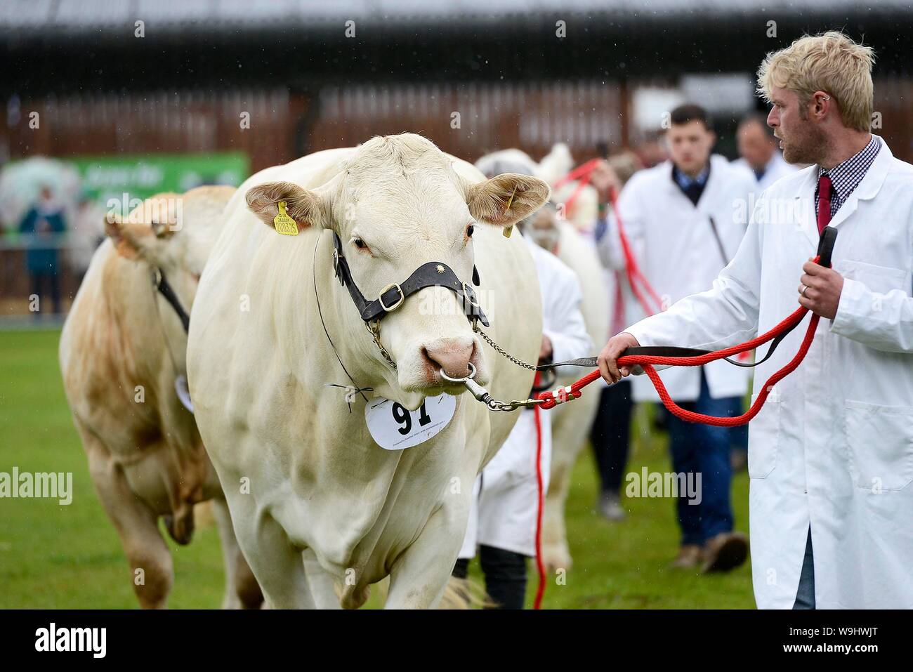 South of England Show 2019 Day 2 Crowds braved the rain at the ...